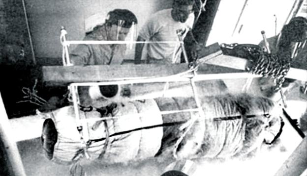 James Bedford, el primer criopreservado | El Diario Vasco