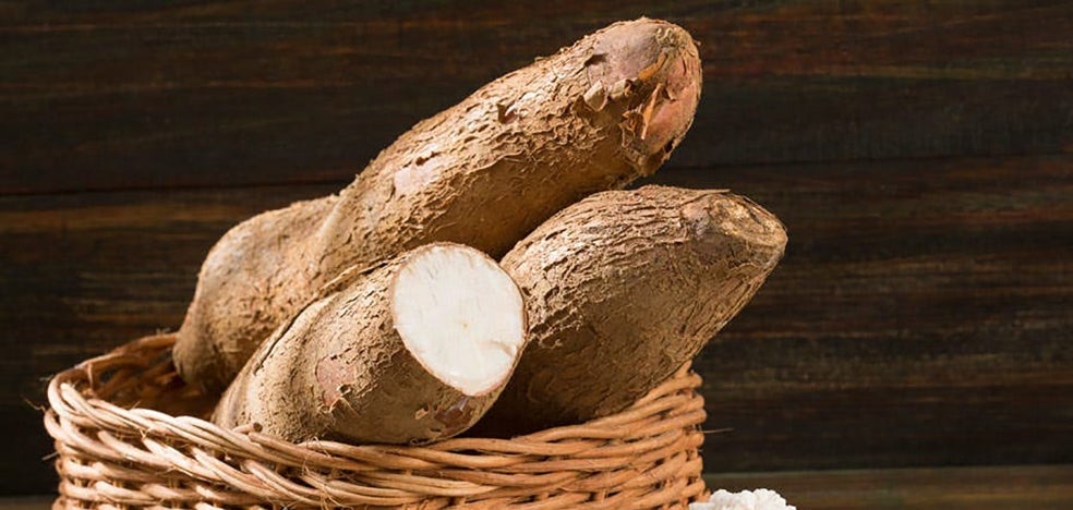 ¿Qué es la tapioca? Conoce sus propiedades y beneficios | El Diario Vasco