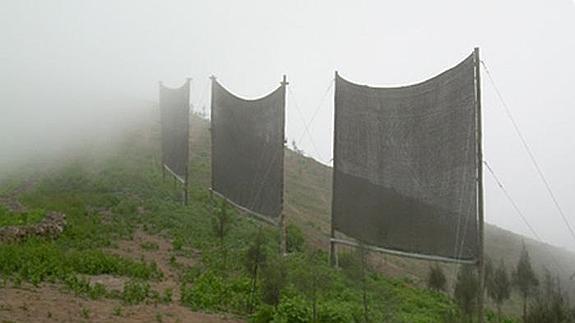 'Atrapanieblas' para dar agua a las familias pobres de Perú | El Diario ...